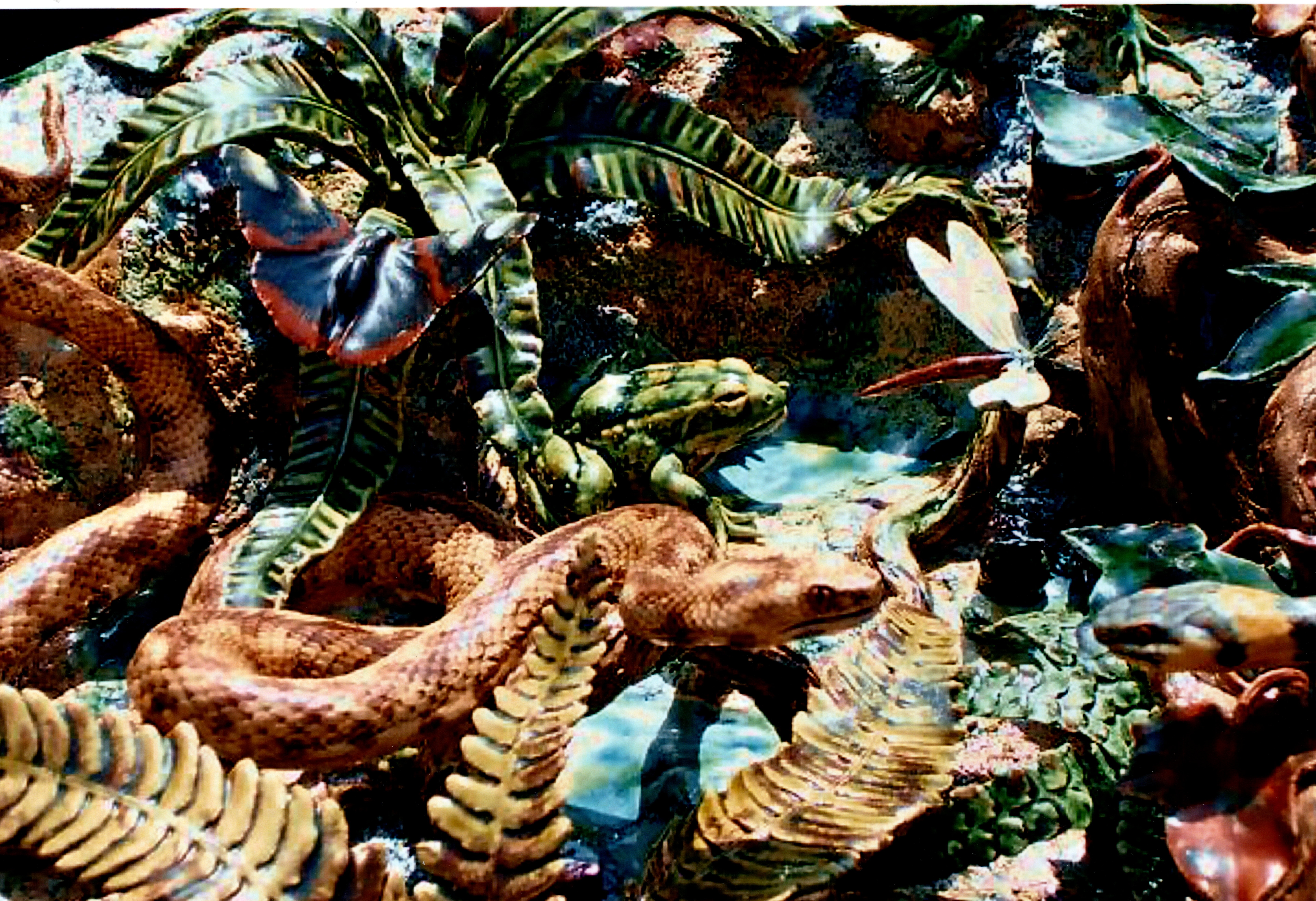 Un Dîner Tourangeau aka A Loire Wine Dinner | The Buckland Club